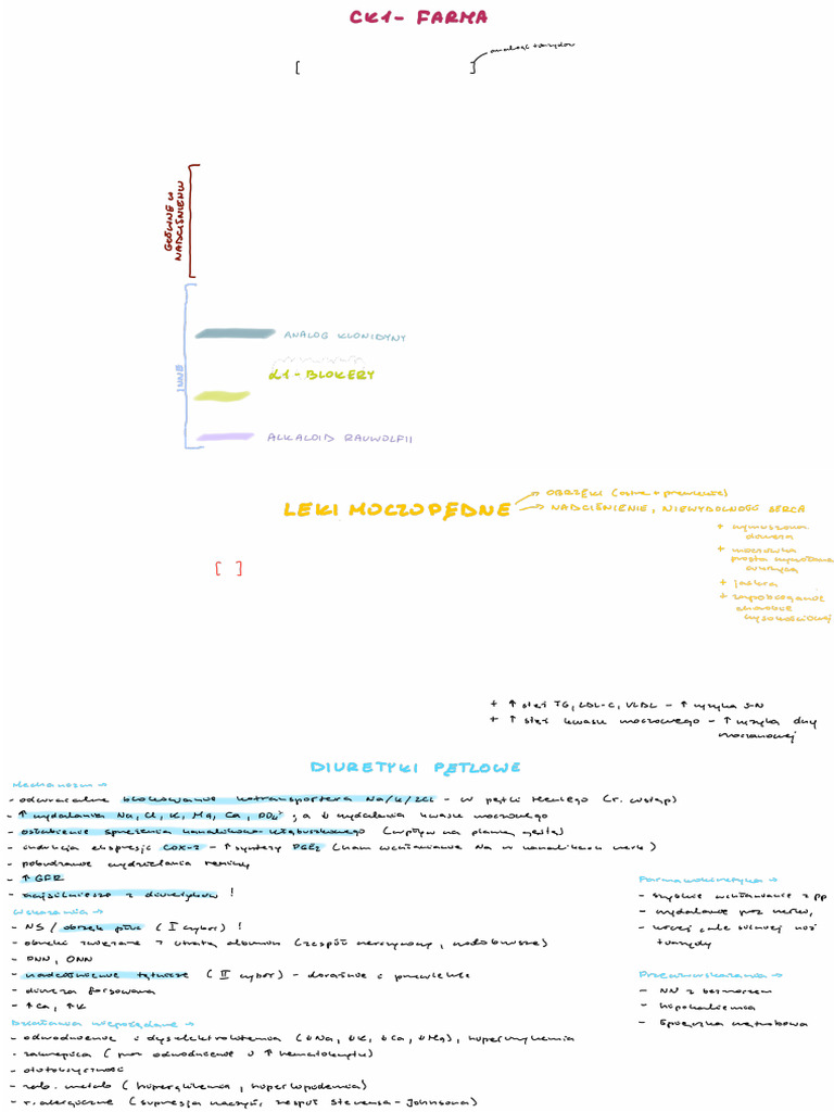 CK1 - Nadciśnienie | PDF
