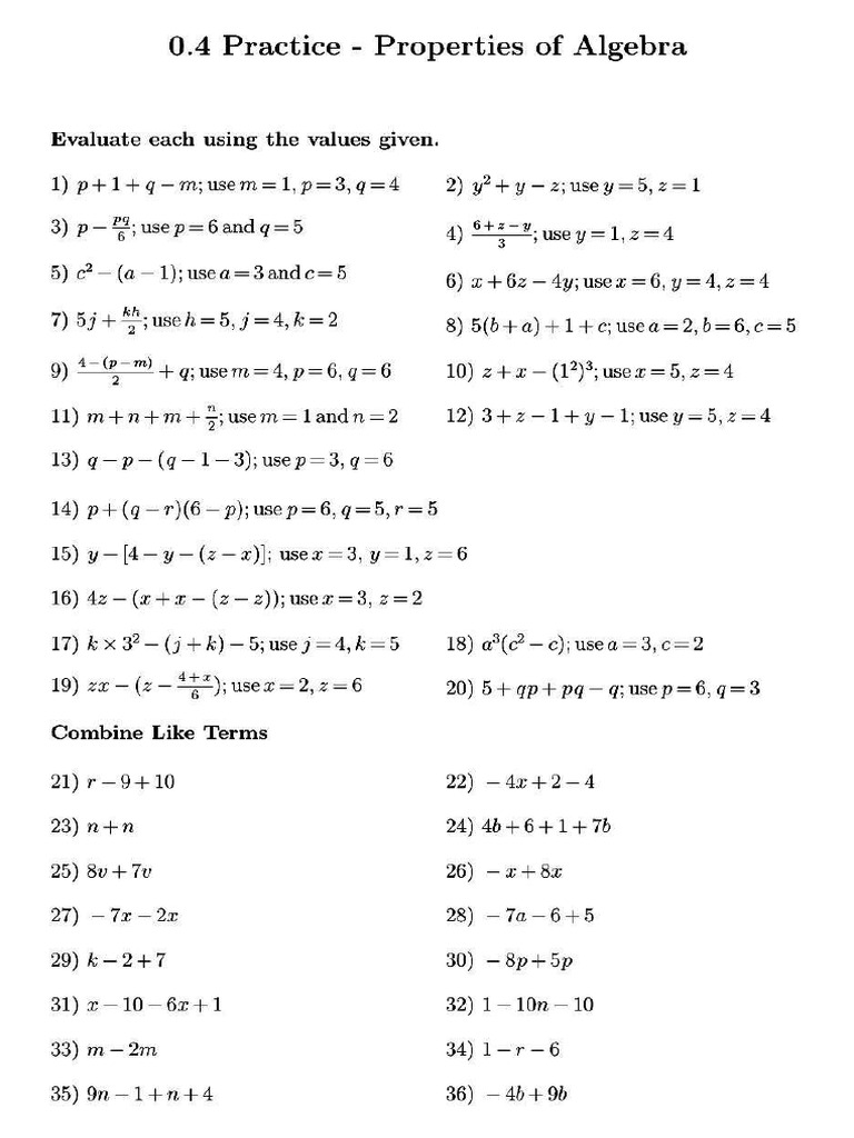 Please Master Your Algebra | PDF