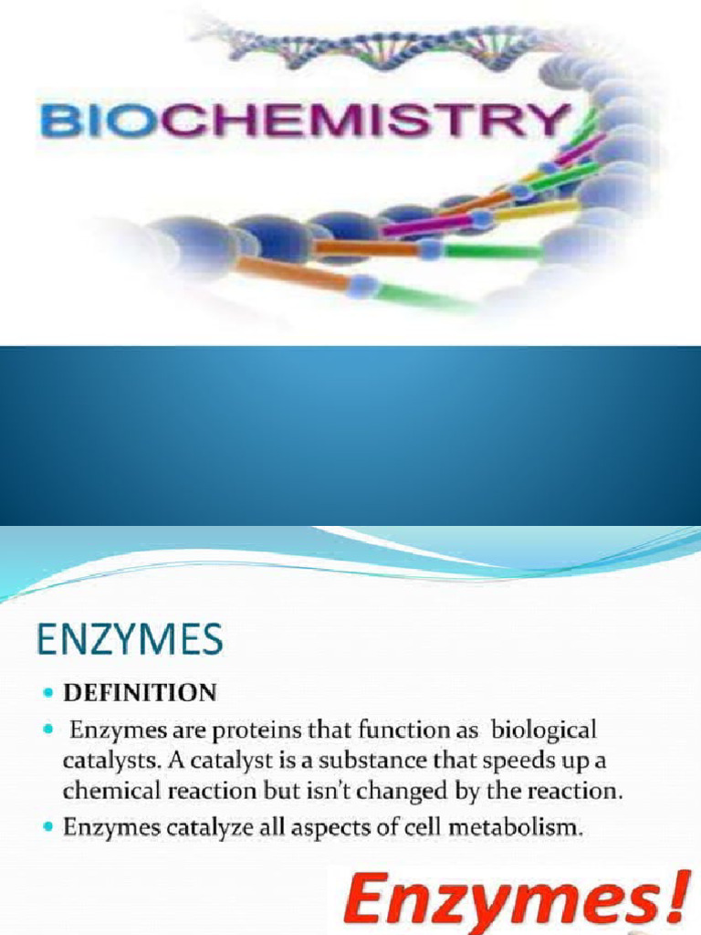 Q2 Enzymes 1 | PDF