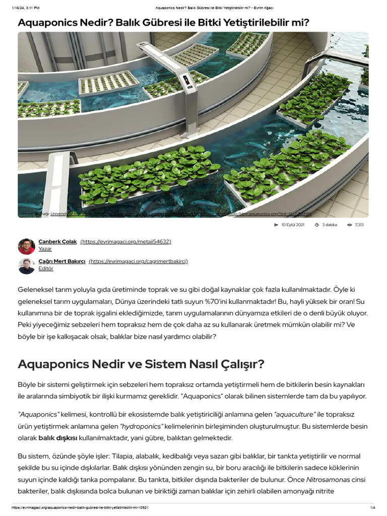 Aquaponics Nedir - Balık Gübresi Ile Bitki Yetiştirilebilir Mi | PDF