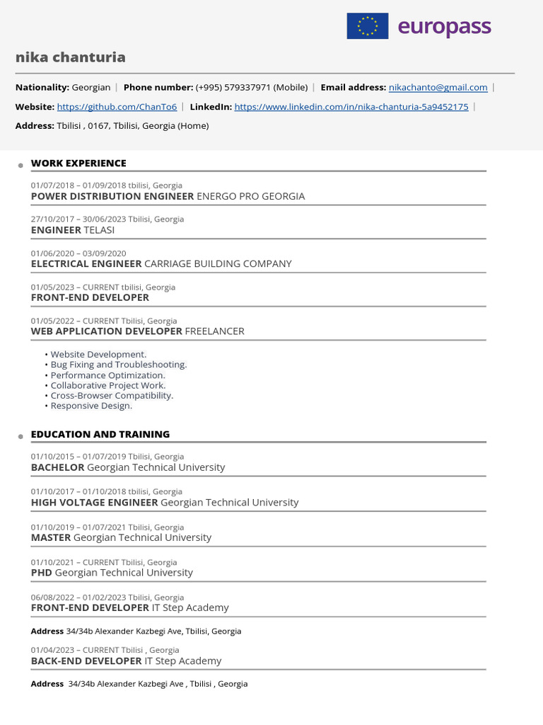 Nika Chanturia: Engineer & Developer Profile | PDF
