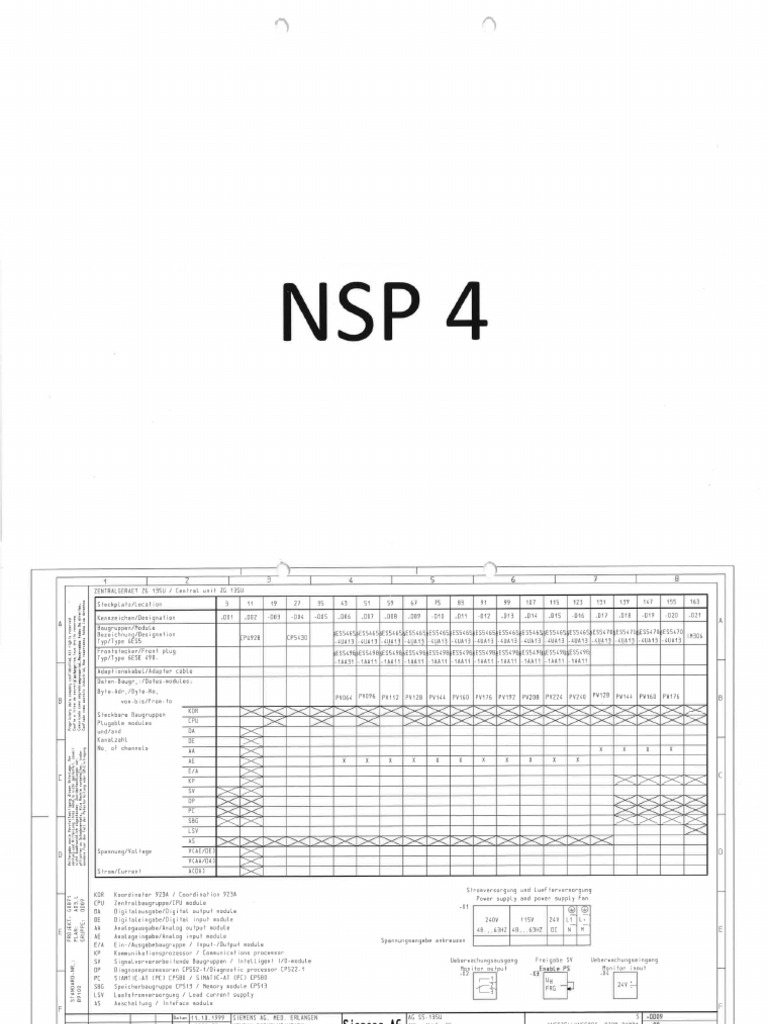 NSP 4 | PDF