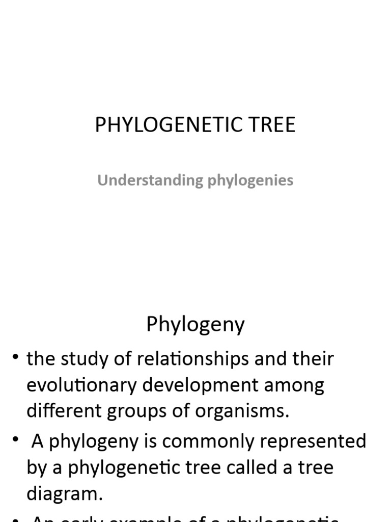 PHYLOGENETIC-TREE | PDF | Phylogenetic Tree | Species