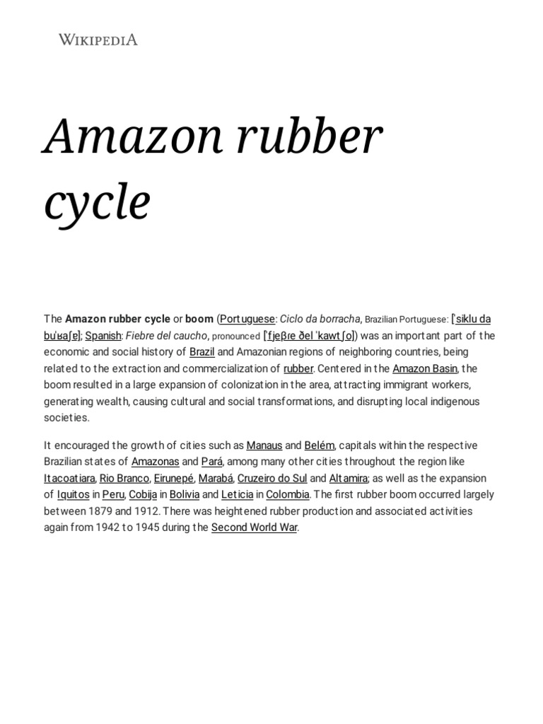 Amazon rubber cycle | PDF