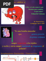 Importancia de la Contractilidad Cardíaca | PDF | Corazón | Músculo
