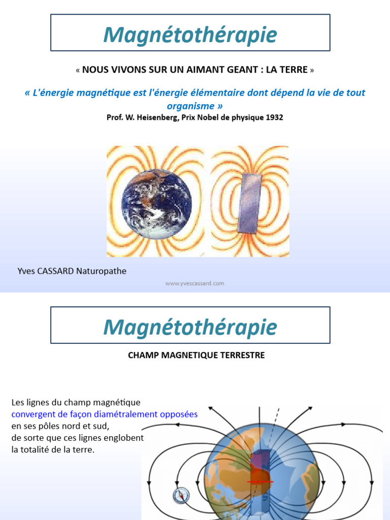 Magnétothérapie et champ magnétique terrestre | PDF | Champ magnétique ...