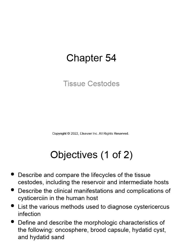 Chapter 54 Tissue Cestodes | PDF