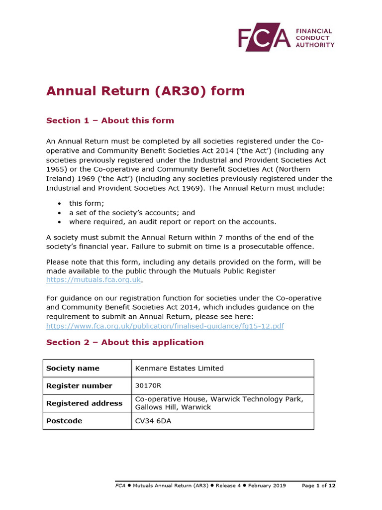 Annual Return and Accounts | PDF | Financial Audit | Going Concern