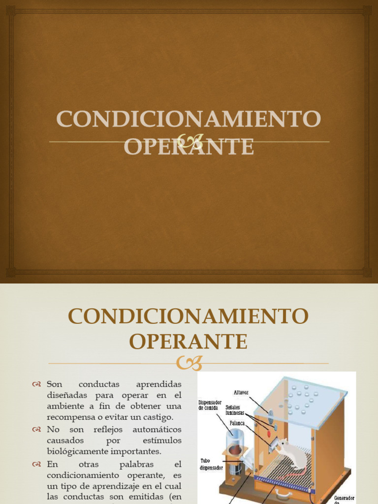 Condicionamiento Operante | PDF