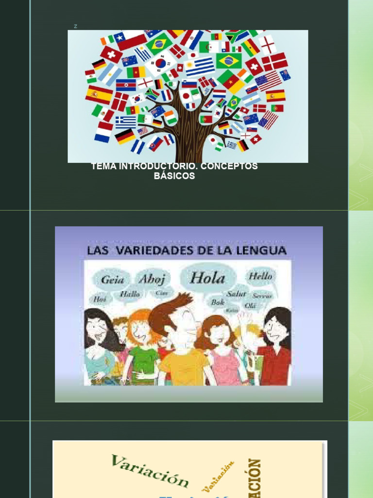 Conceptos Introductorios | PDF