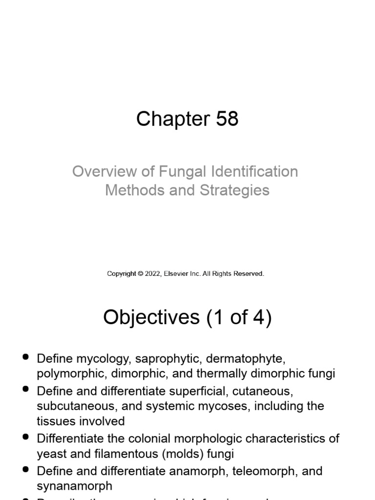 Chapter 58 Overview of Fungal Identification Methods and Strategies ...