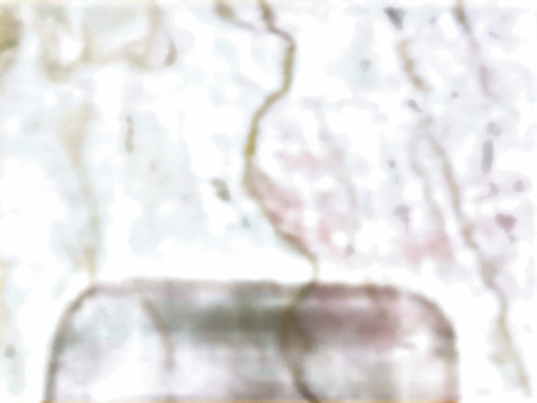 Documents Asap | PDF