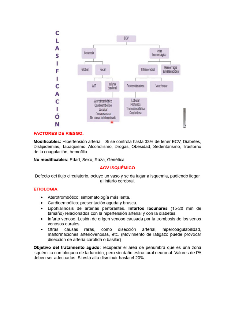 Acv Resumen | PDF