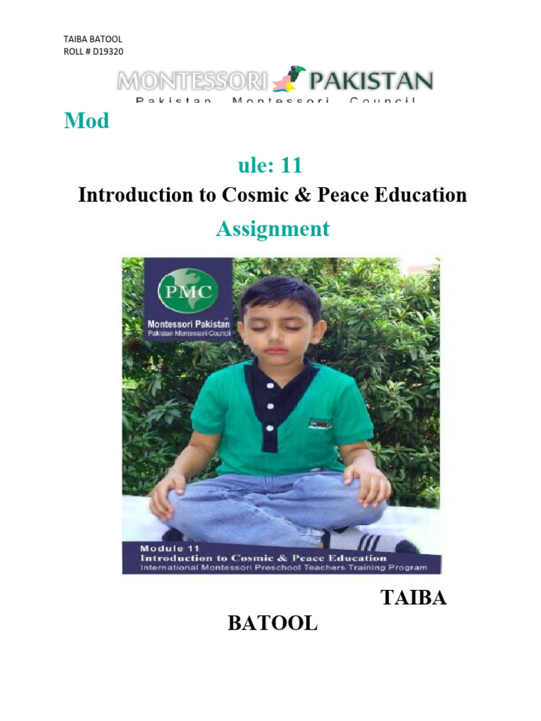 PMC 11 | PDF | Montessori Education | Self Awareness