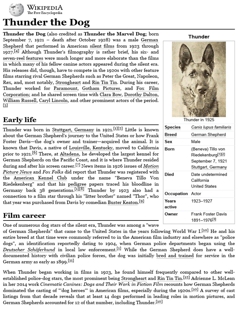 Thunder The Dog - Wikipedia | PDF