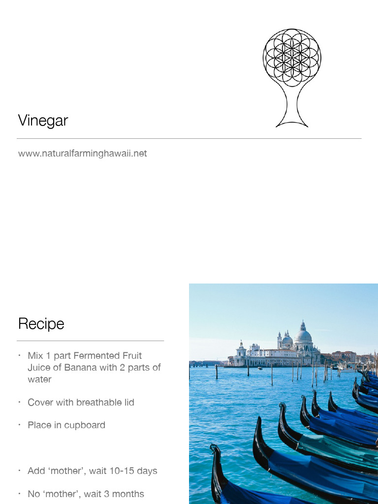 Vinegar | Download Free PDF | Vinegar | Acetic Acid