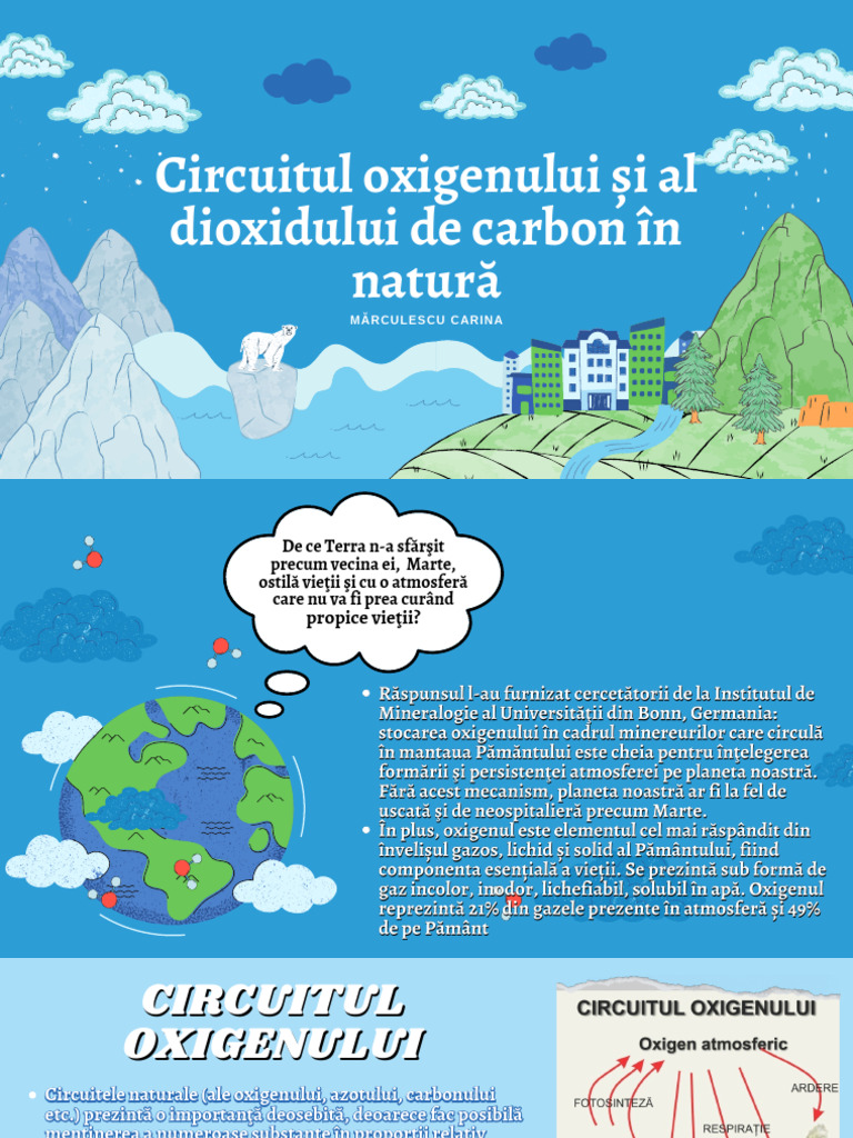 Circuitul Oxigenului Și Al Dioxidului de Carbon În Natură | PDF