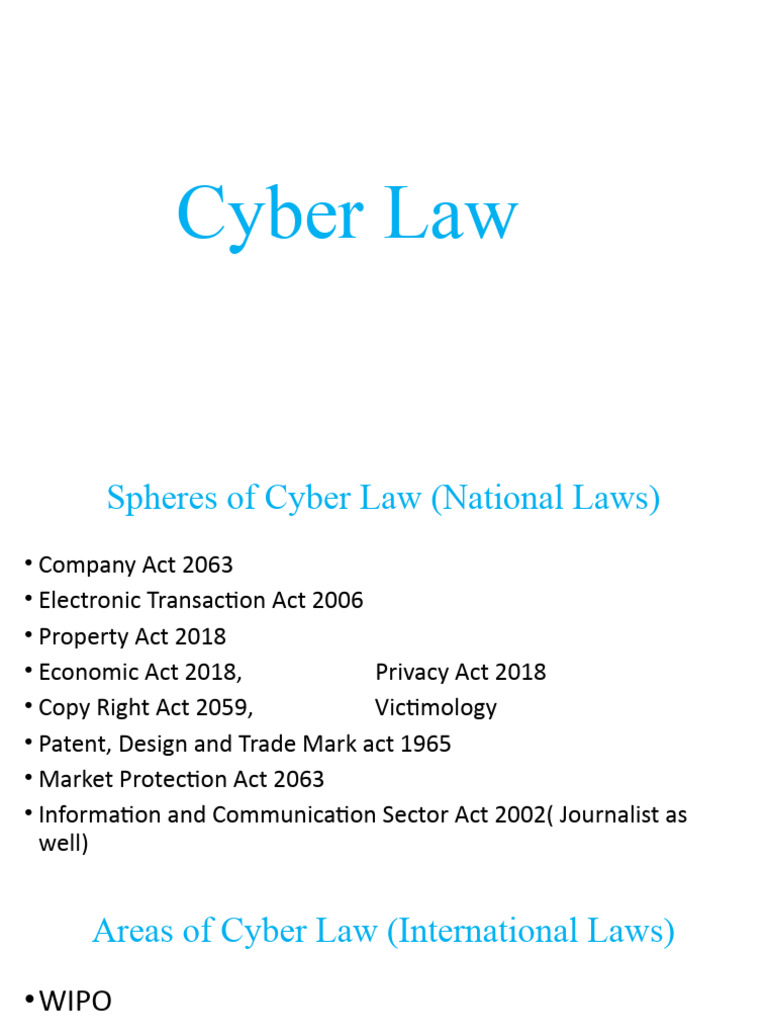 Cyber Law | PDF