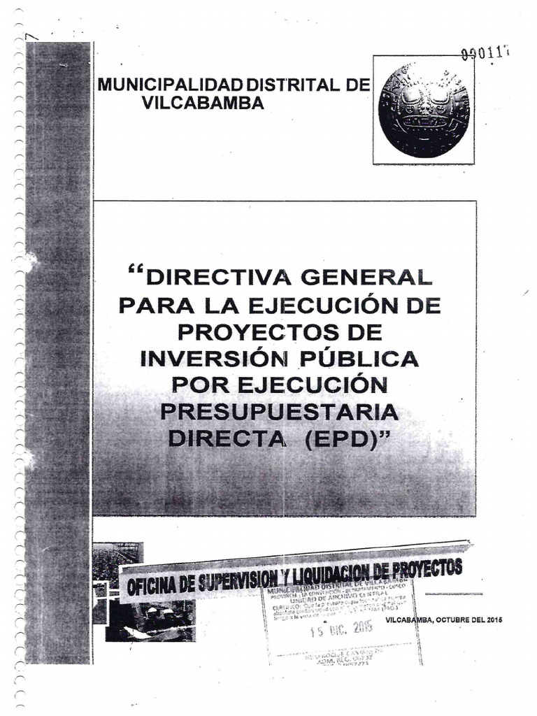 Directiva General para La Ejecucion de Proyectos de Inversion Publica | PDF