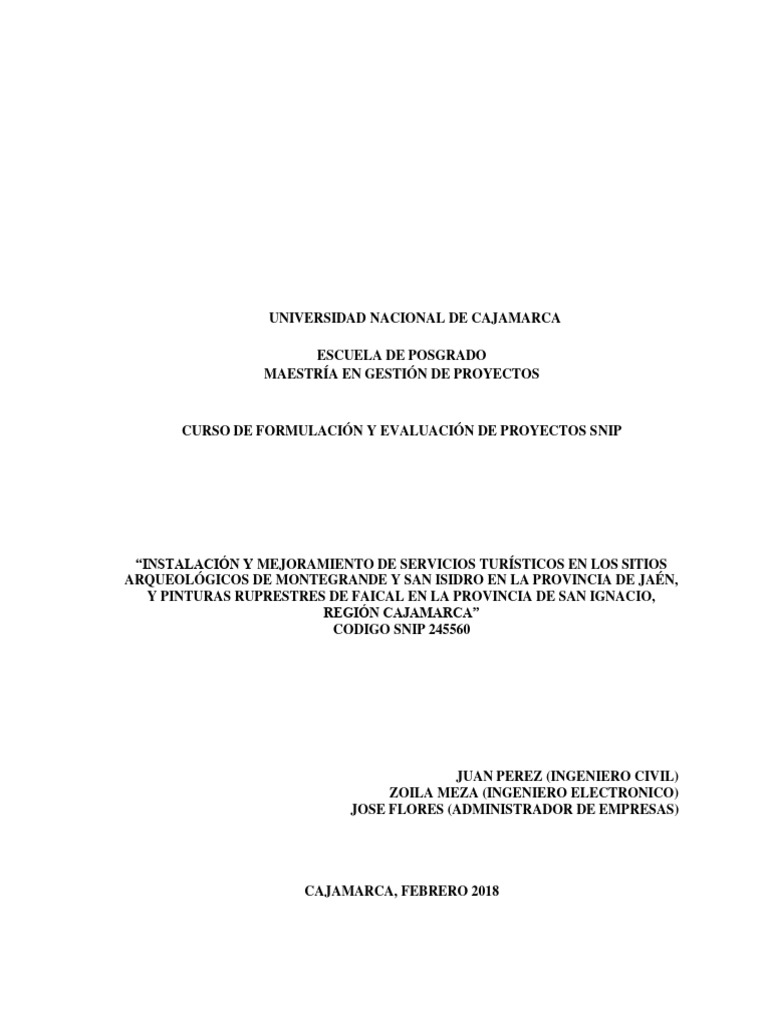 Trabajo Final (EJEMPLO SOLO REFERENCIAL) | PDF