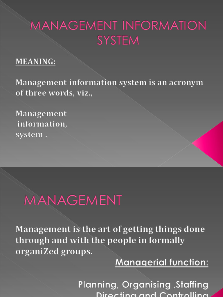 Management Information System | PDF | Management Information System ...