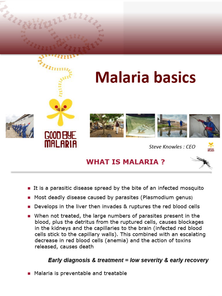 Malaria Basics GBM Limpopo - 1 | PDF