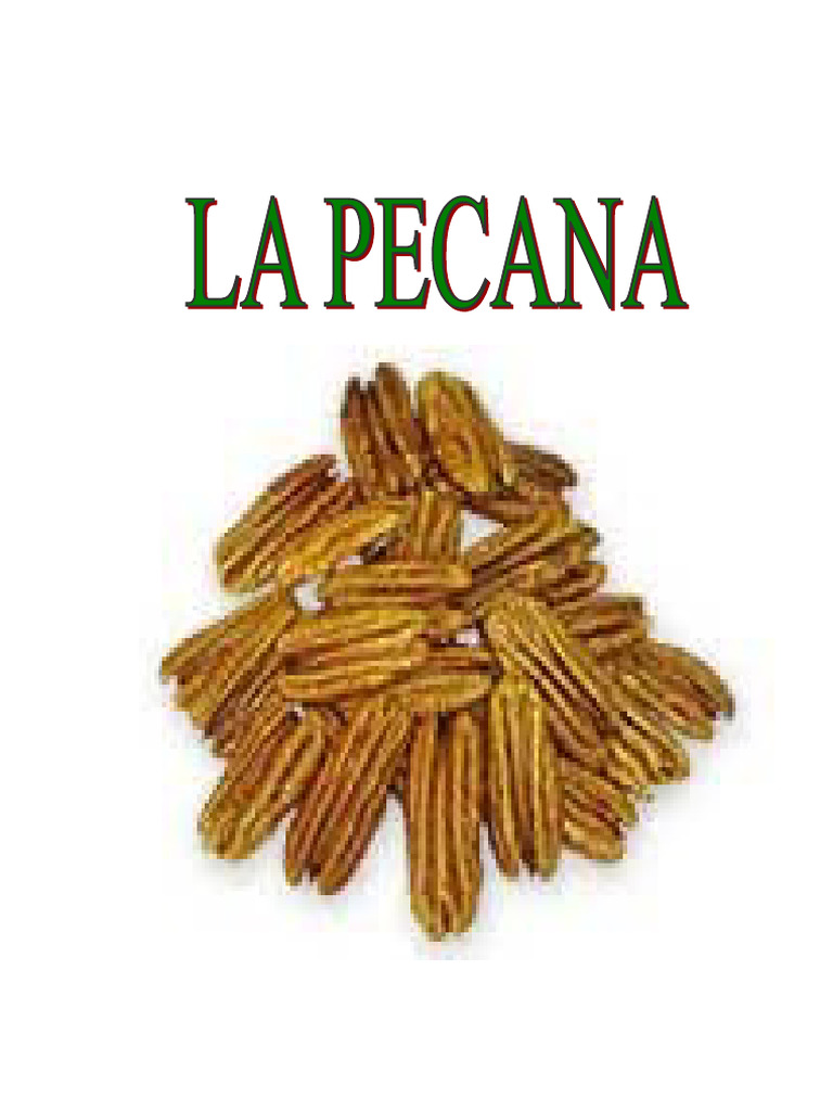 El Pecano | PDF | Nuez | Nuez