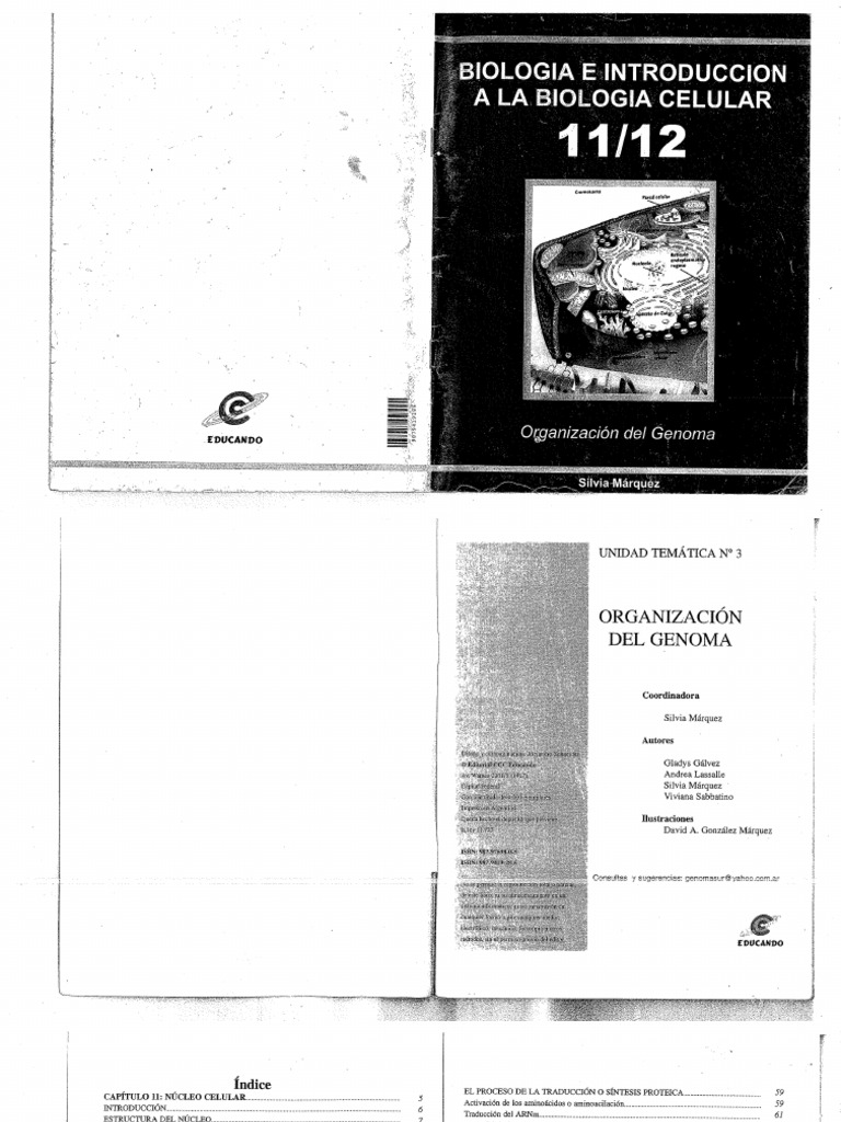 CAPITULO 11 - 12 | PDF