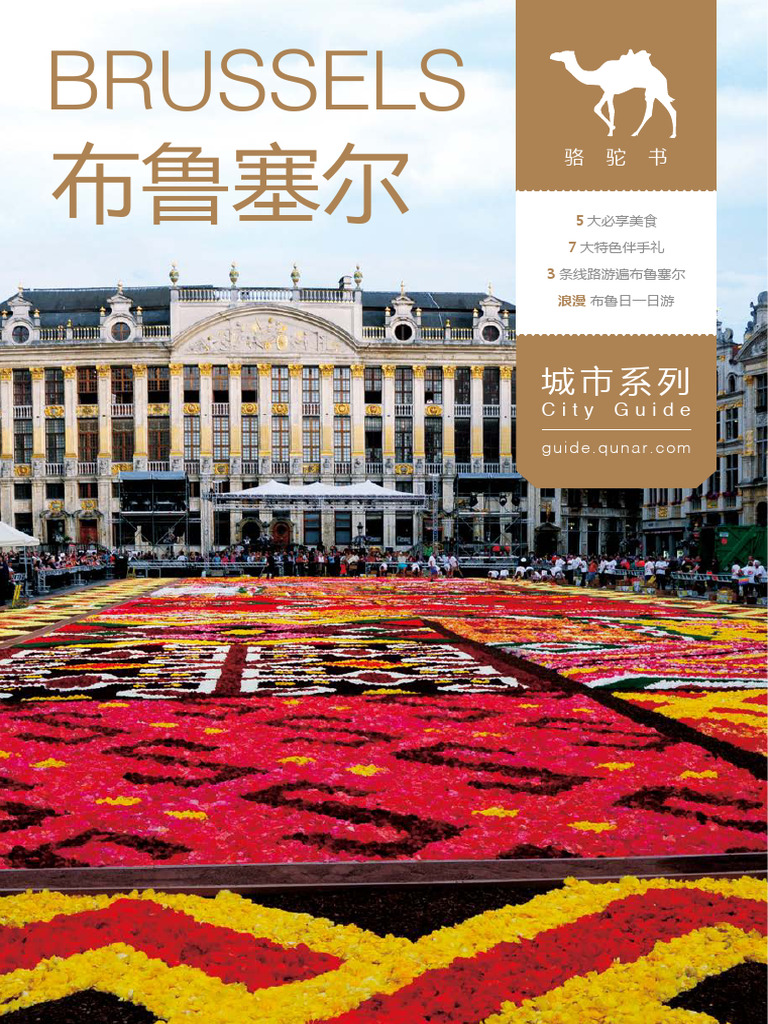 骆驼书：Belgium 布鲁塞尔 Brussels | PDF
