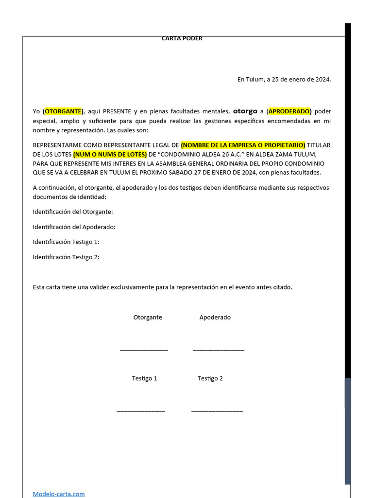 Carta Poder Formato | PDF