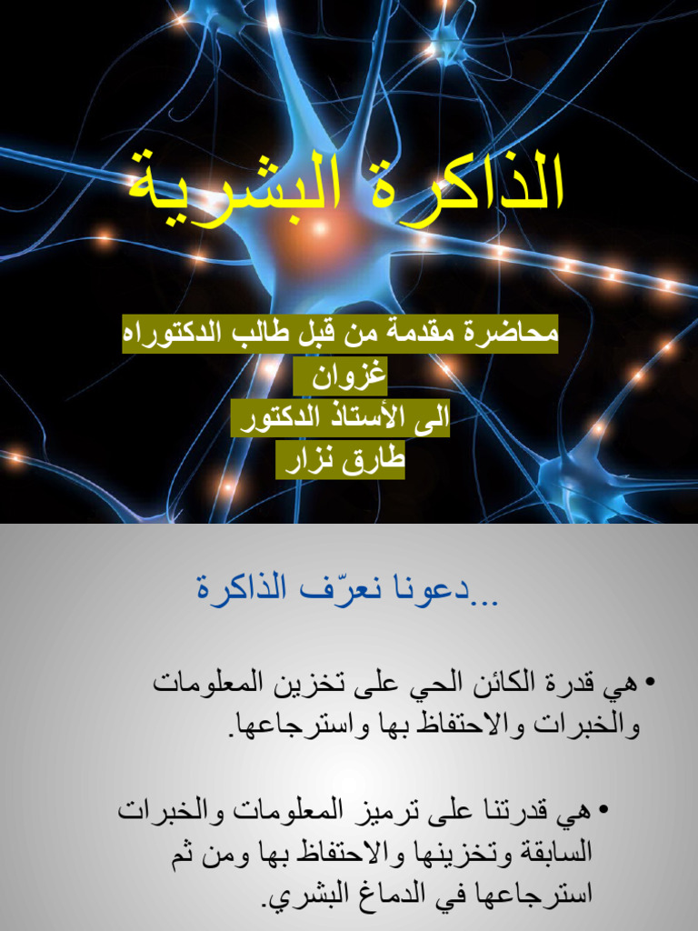 Humman Memories | PDF