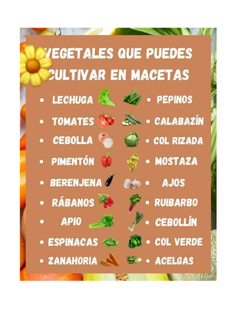 Vegetales | PDF