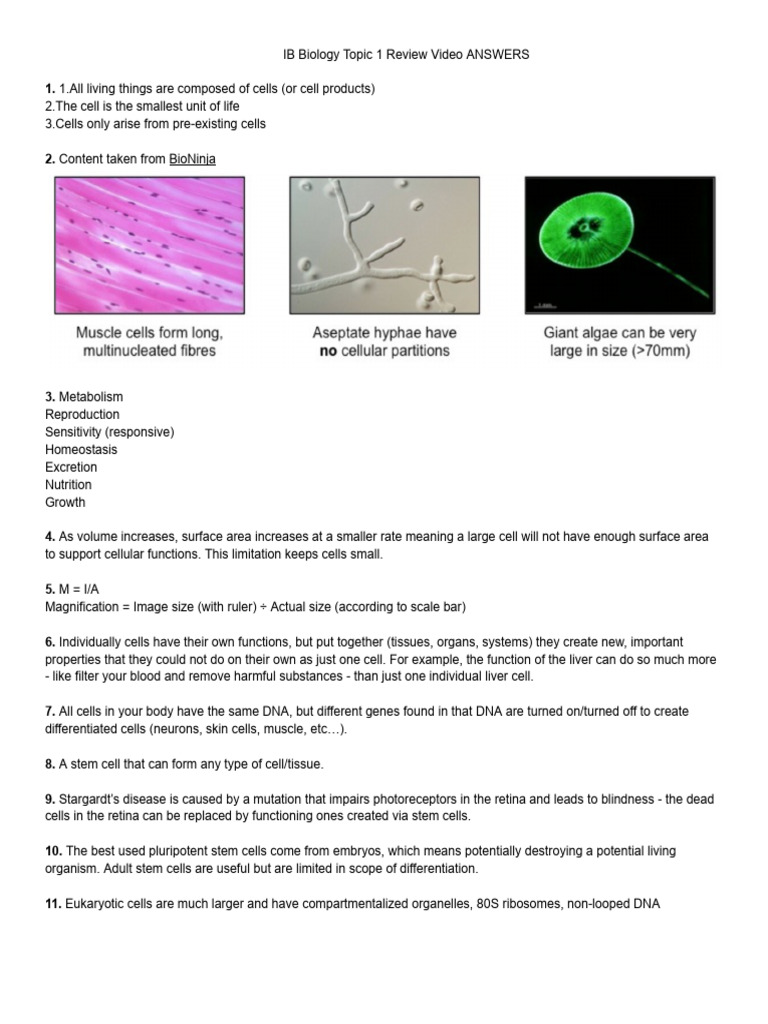 IB Biology Unit 1: Cell Theory Review | PDF | Cell Membrane | Cell ...