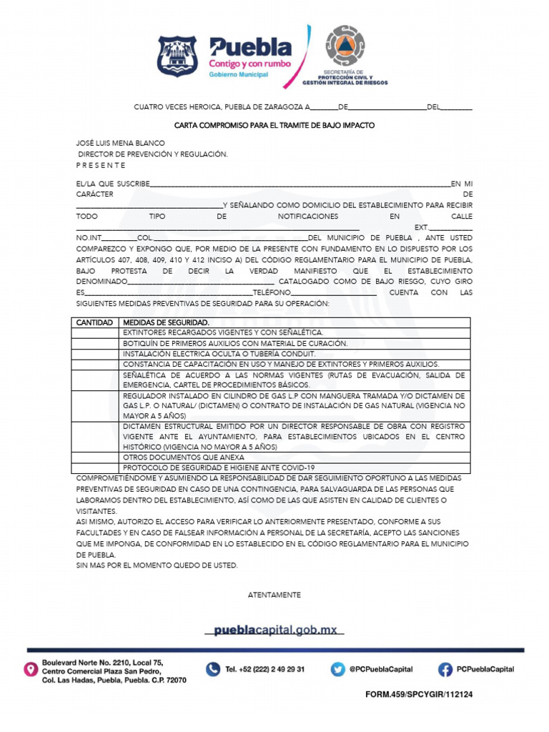 Form. 459S Pcygir 112124 Carta Compromiso | PDF