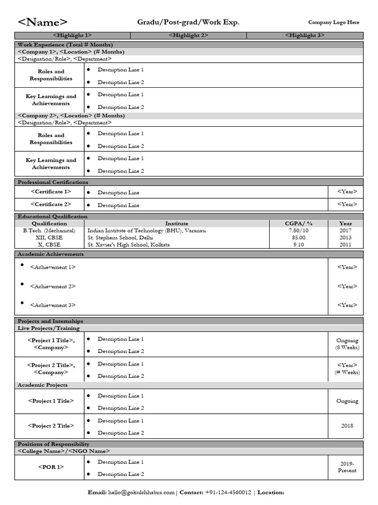 ? CV Template Work Experience | PDF