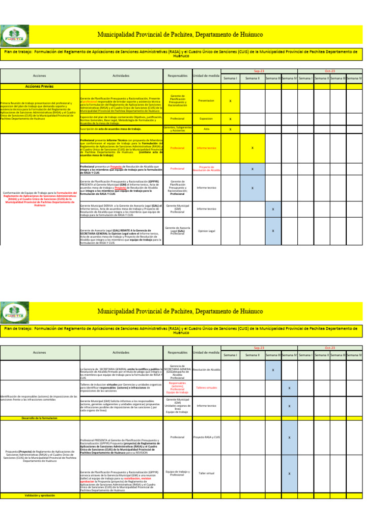 Formulación de RASA y CUIS en Pachitea | PDF | Gobierno