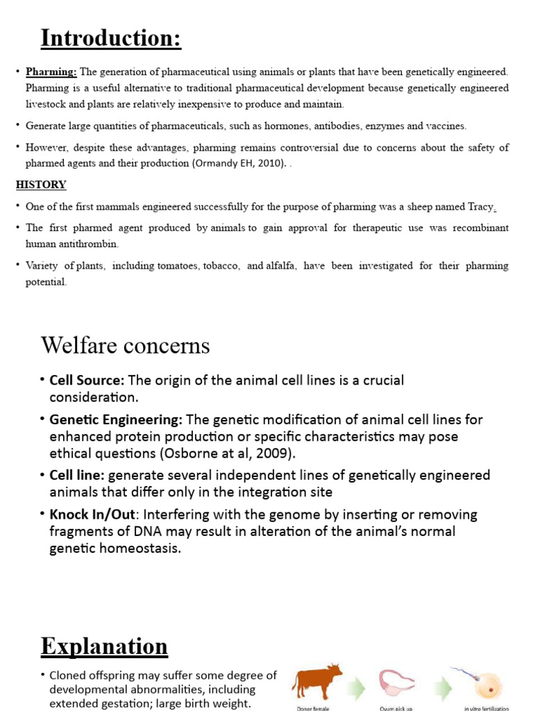 Ethics Associated With Pharming Presentation | PDF | Genetic ...
