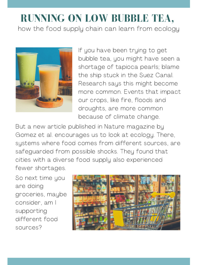 Running On Low Bubble Tea Assignment 1 Maria Ramirez | PDF