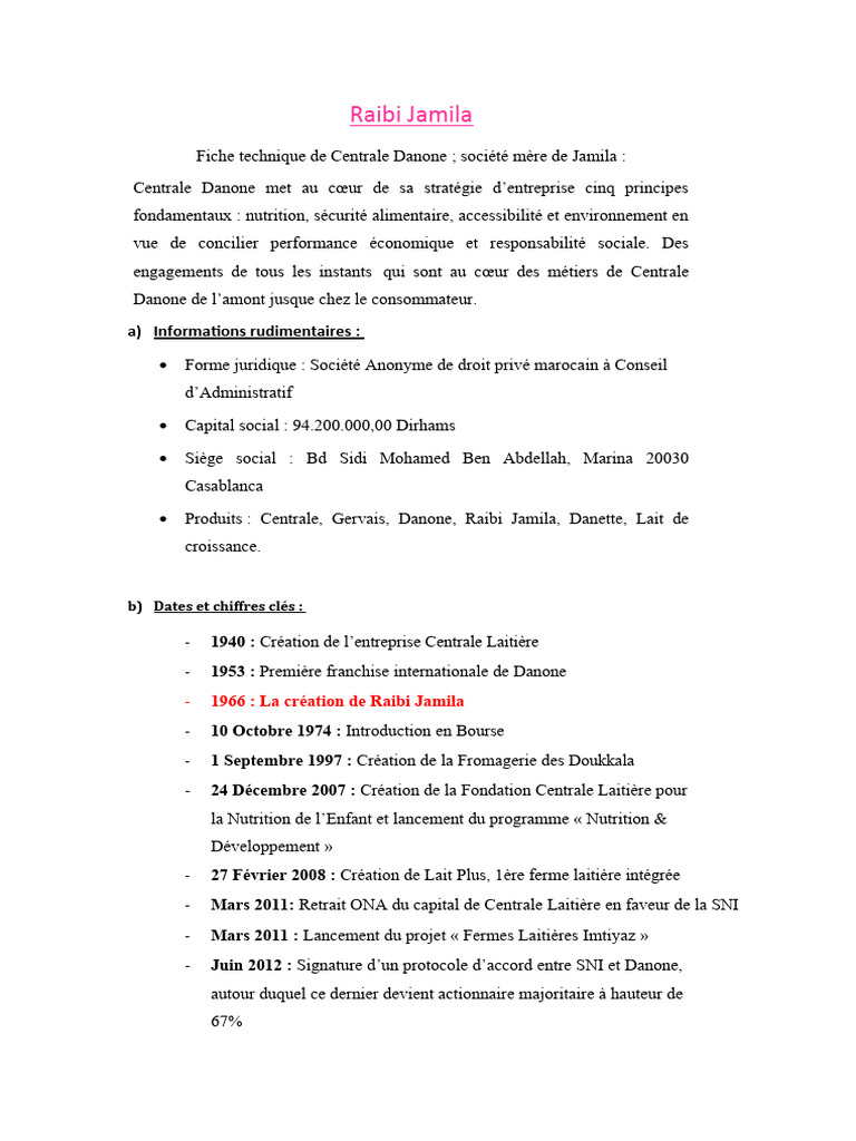 Projet Raibi Jamila | PDF