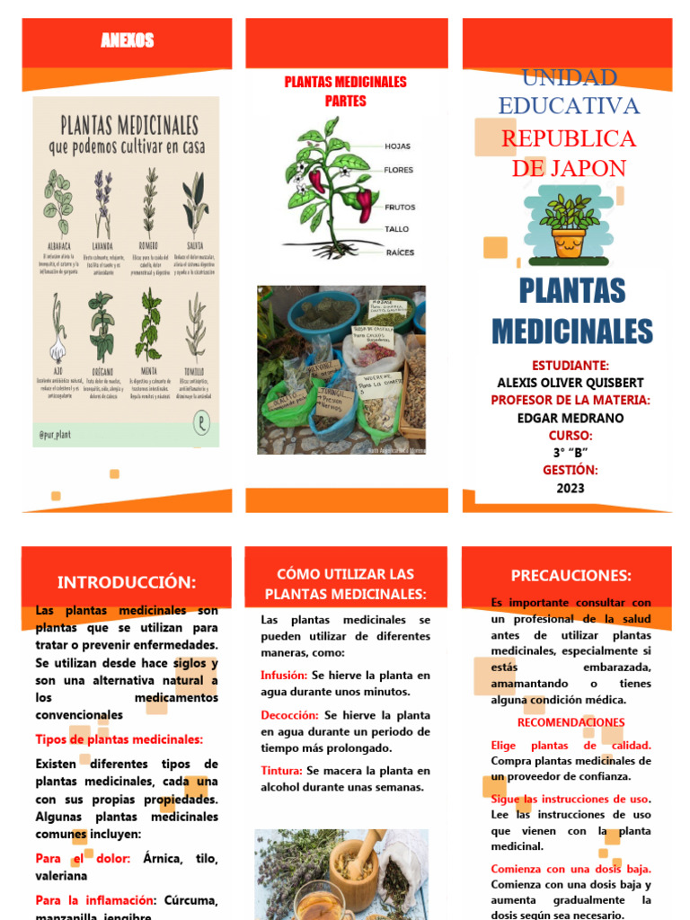 PLANTAS MEDICINALES TRIPTICO | PDF | Plantas medicinales | Medicina CLINICA
