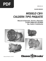 Caldera Cleaver Brooks | PDF | Combustible diesel | Vapor
