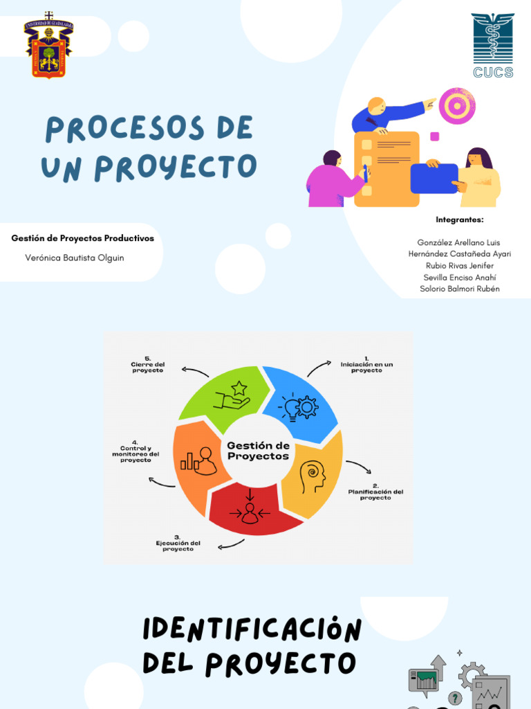 Procesos de Un Proyecto | PDF