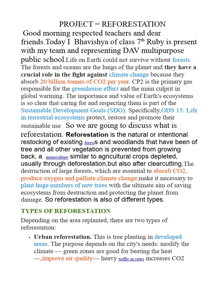 Project Reforestation Pdf Carbon Cycle Forests