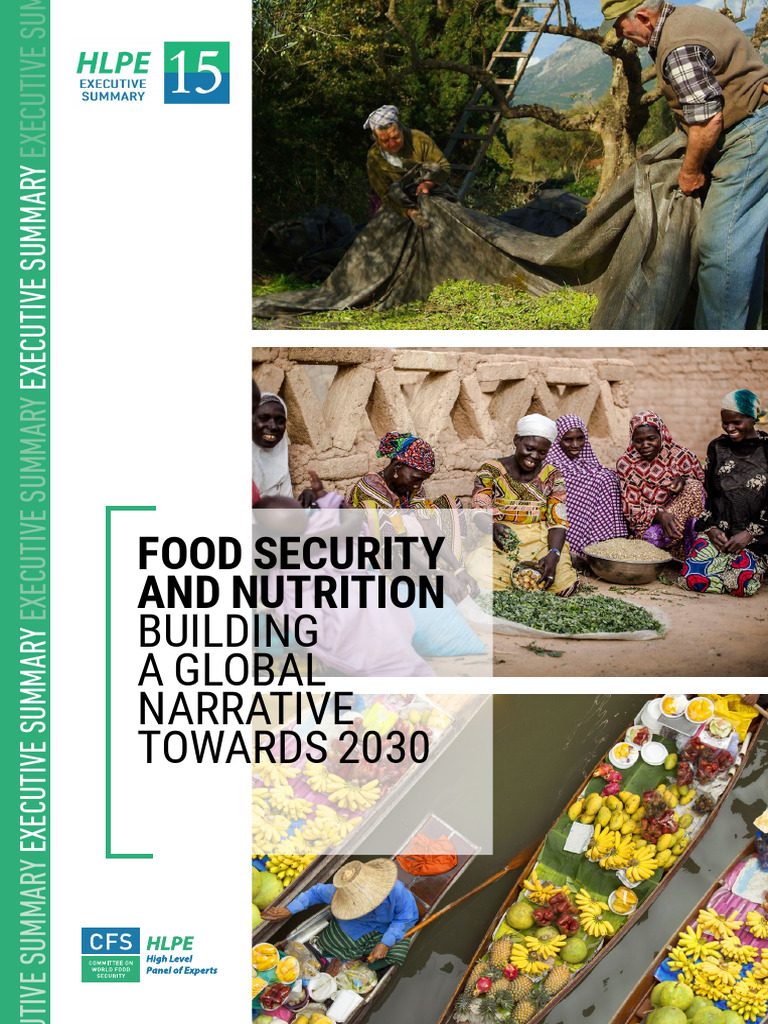 Food Security and Nutrition Building A Global Narrative Towards 2030 | PDF | Food Security ...