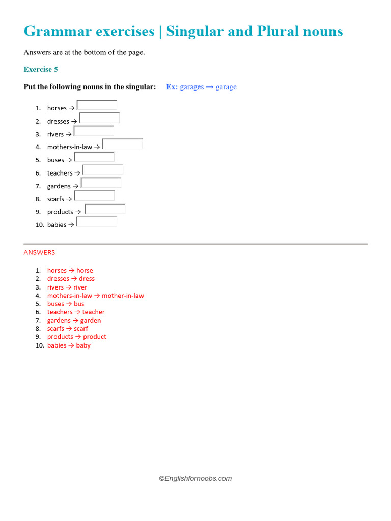 Singular and Plural Noun Exercise | PDF