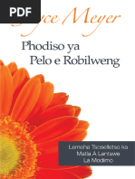 Imithi Yesintu Nezincazelo Zayo | PDF | Lifestyle