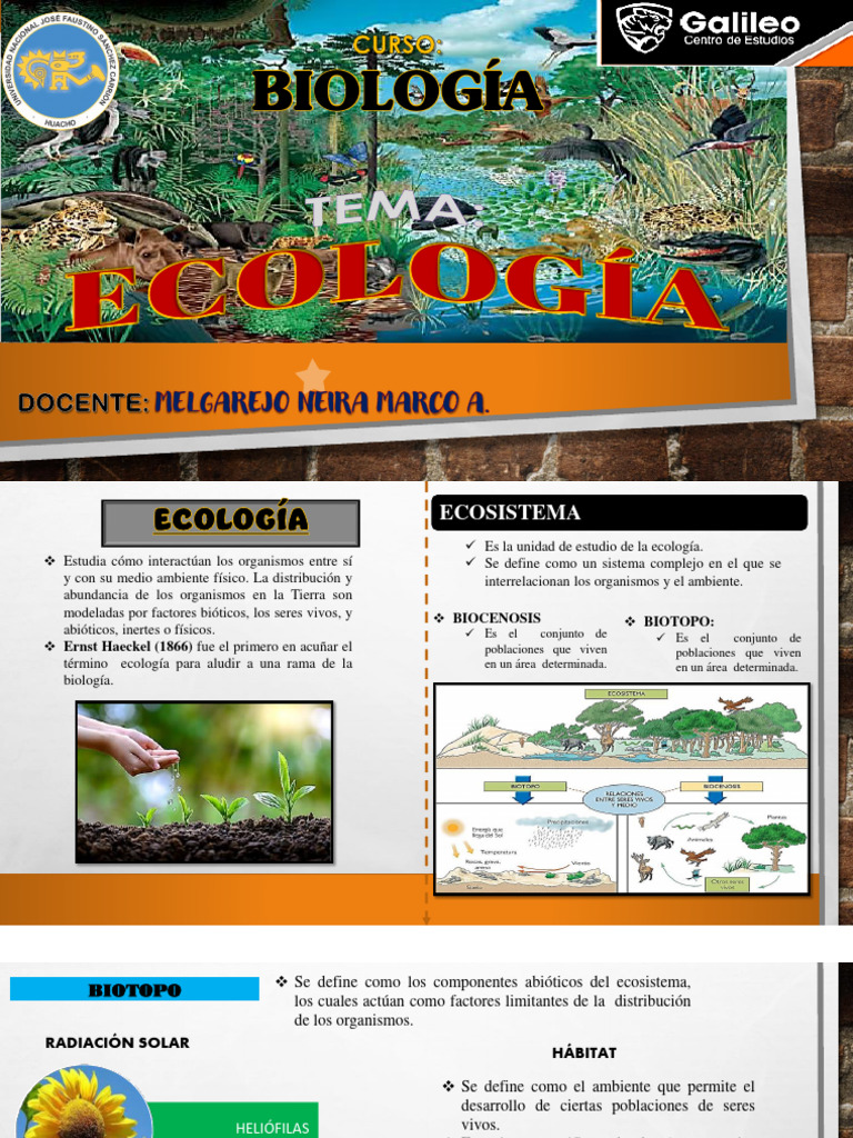Introducción a la Ecología y Ecosistemas | PDF | Ecología | Plantas