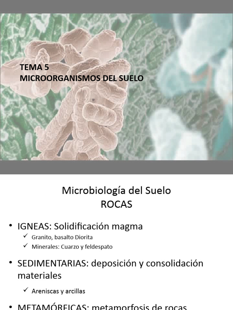 Microbiología Del Suelo | Descargar gratis PDF | Microorganismo | Suelo