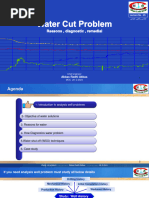 Production Logging (PLT) | PDF | Flow Measurement | Applied And ...