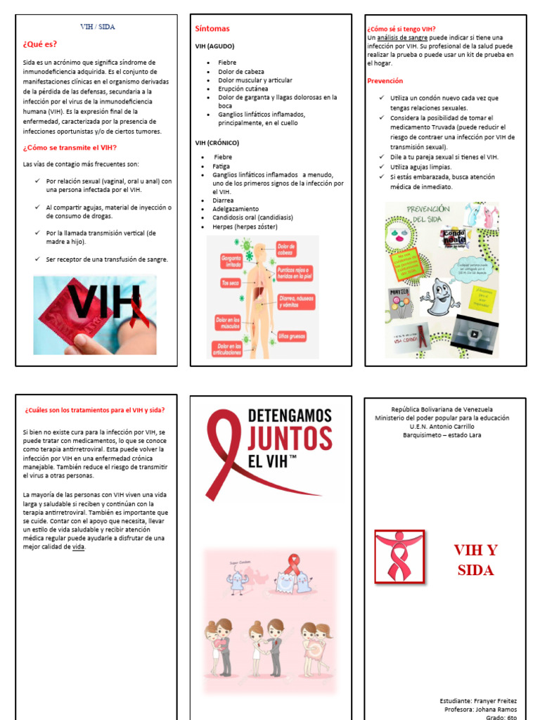 Triptico de Enfermedades Del Sida | PDF